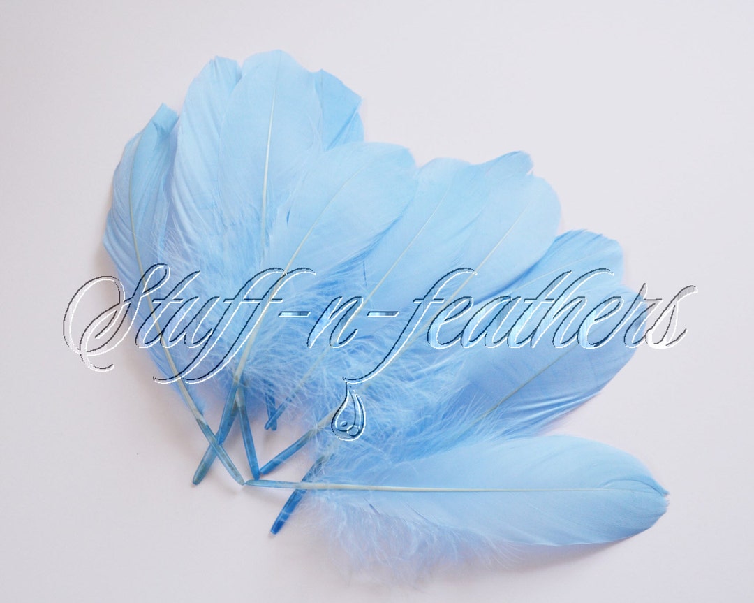 Goose Feathers Sky Blue / Baby BLUE Goose Pallets Feathers - Etsy