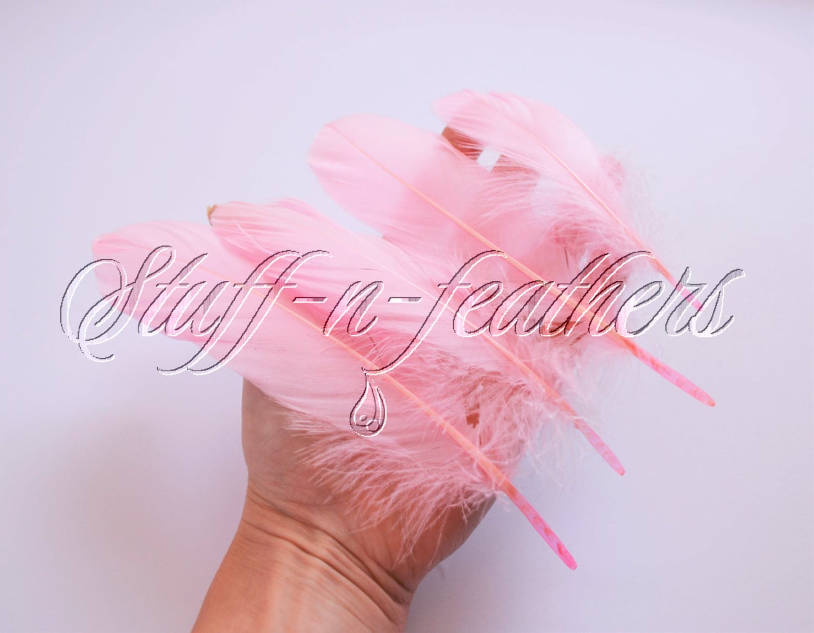 Baby Pink Feathers GOOSE Feather Light Pink Feathers Loose - Etsy