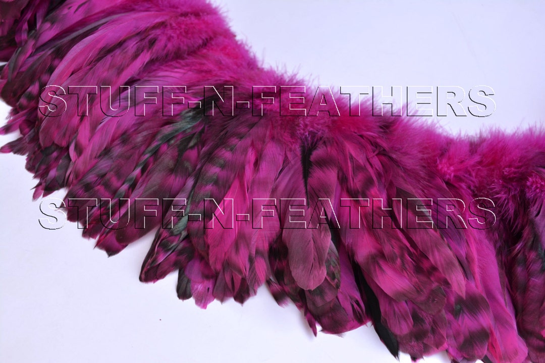 Wholesale / Bulk Feathers – Rooster Tail Feathers Fuchsia Chinchilla ...