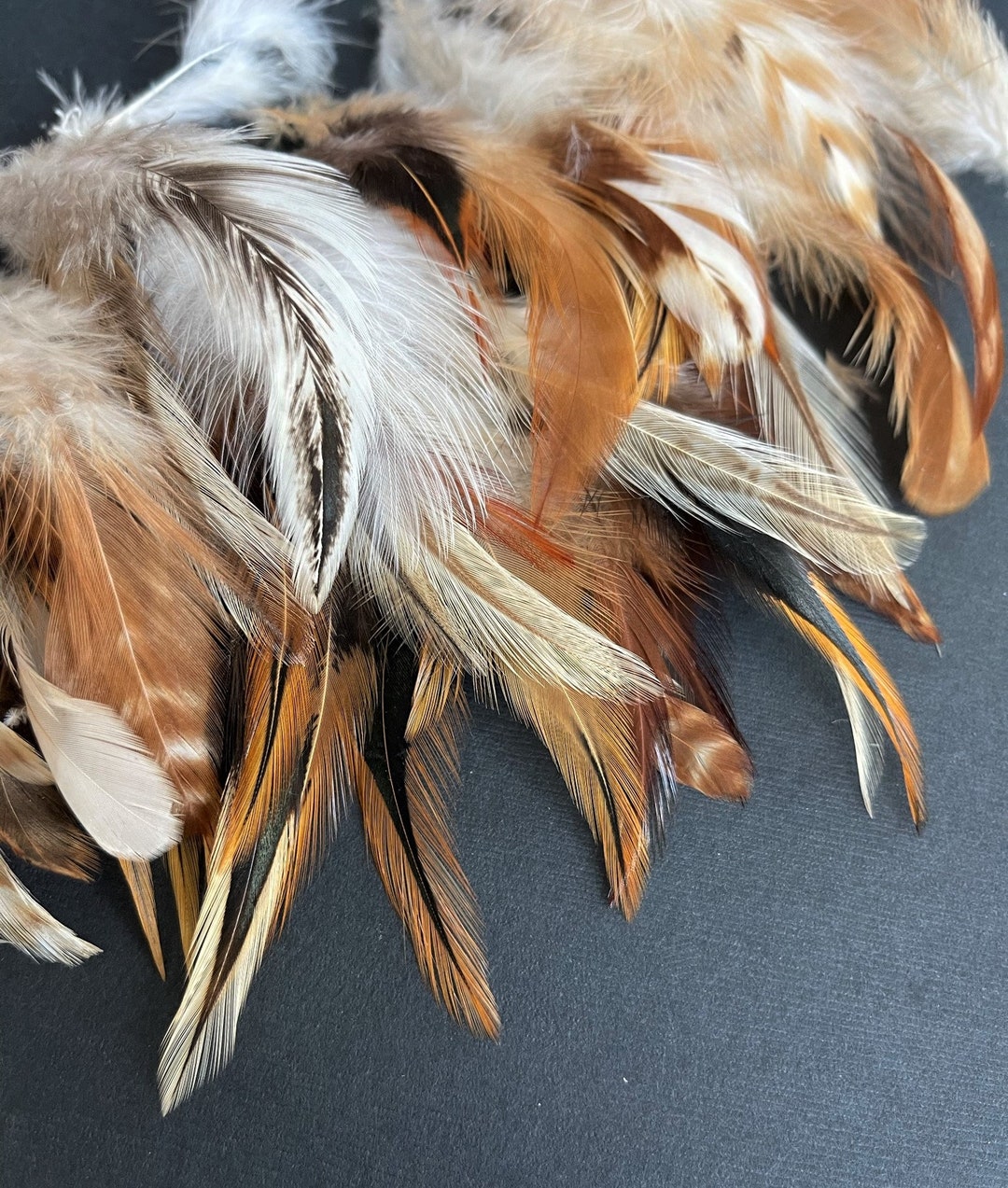 Natural Feathers Brown Beige Loose Feathers, Rooster Feather Assortment ...