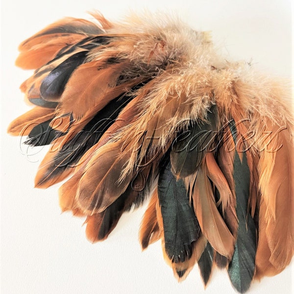 Rooster Tail Feather - Etsy
