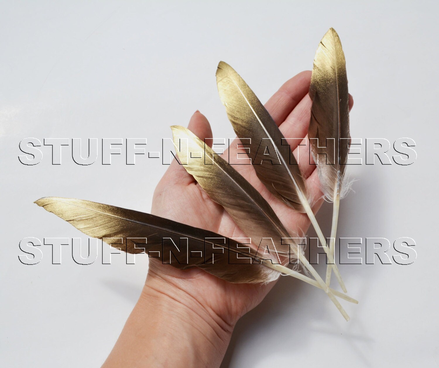 Natural Brown Duck Feathers With GOLD Tip Loose, "gold Dust" Real Gold ...