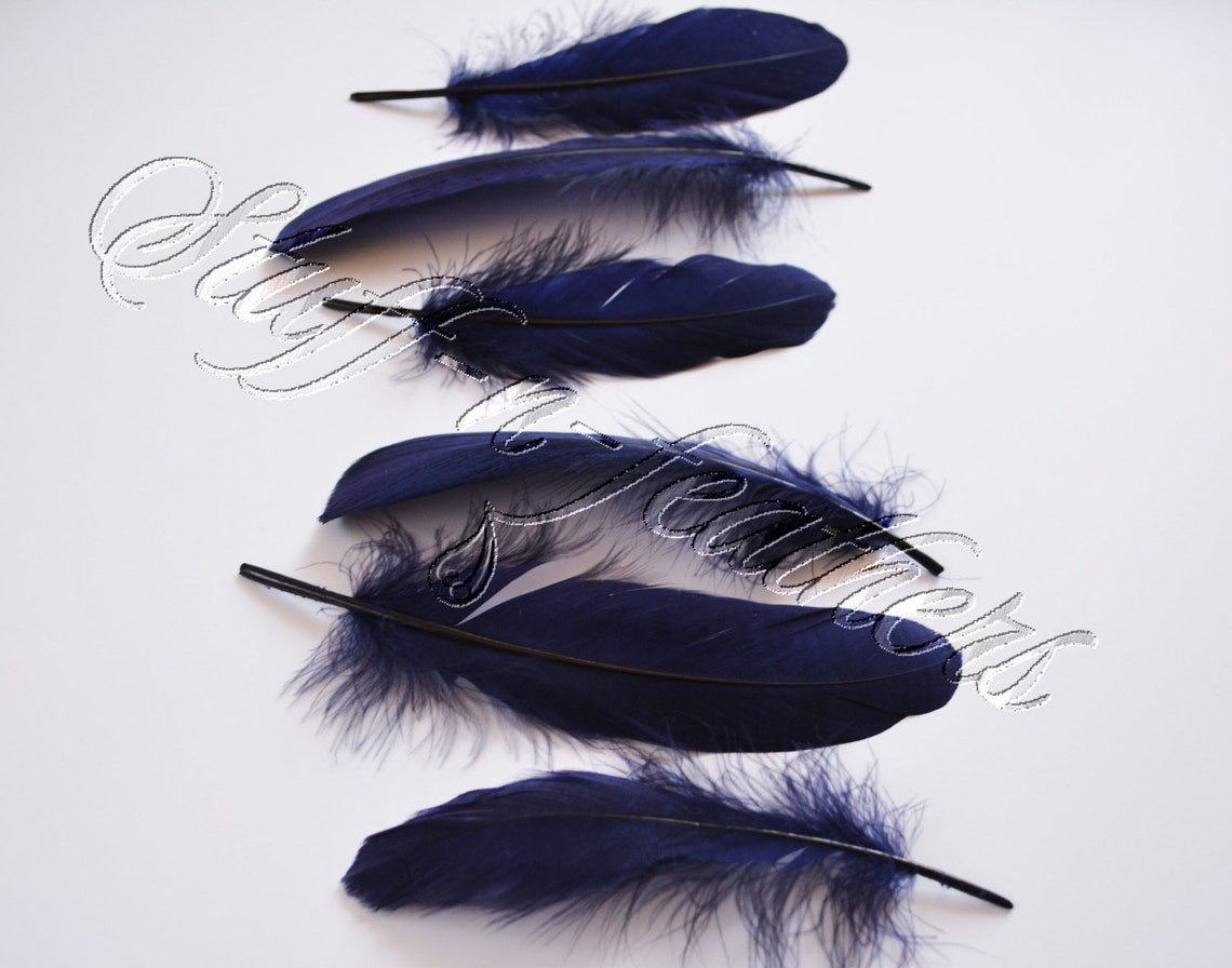 Navy Blue GOOSE Pallets Feathers, Loose Feathers for Millinery, Crafts ...
