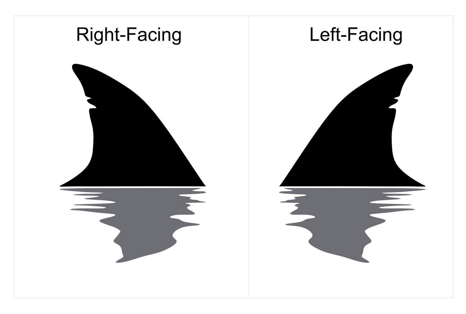 Shark Fin Decal Beach House Wall Art Shark Lover's Gift - Etsy