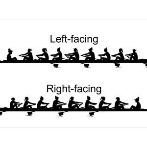 Female Rowing Team Decal Sticker SP-150 - Etsy