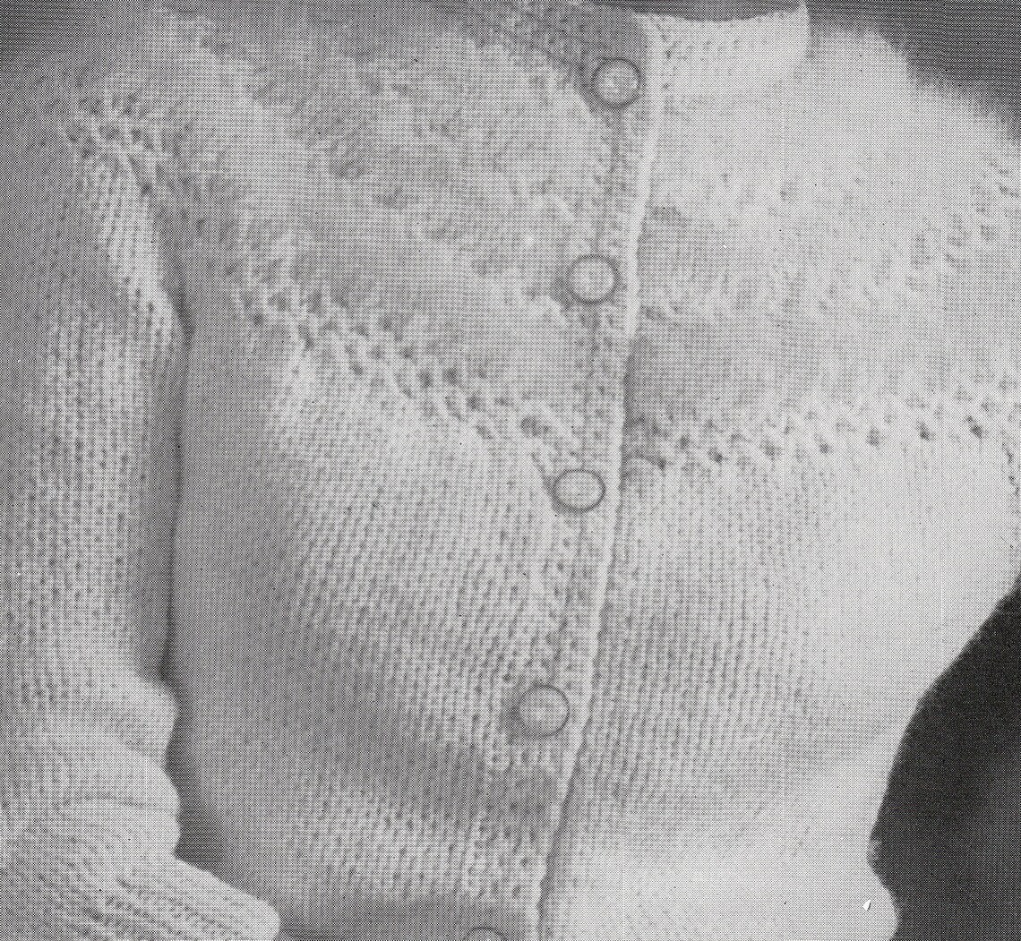 PATTERN Knit Womens Cardigan With Angora 1960's Vintage PDF PATTERN - Etsy