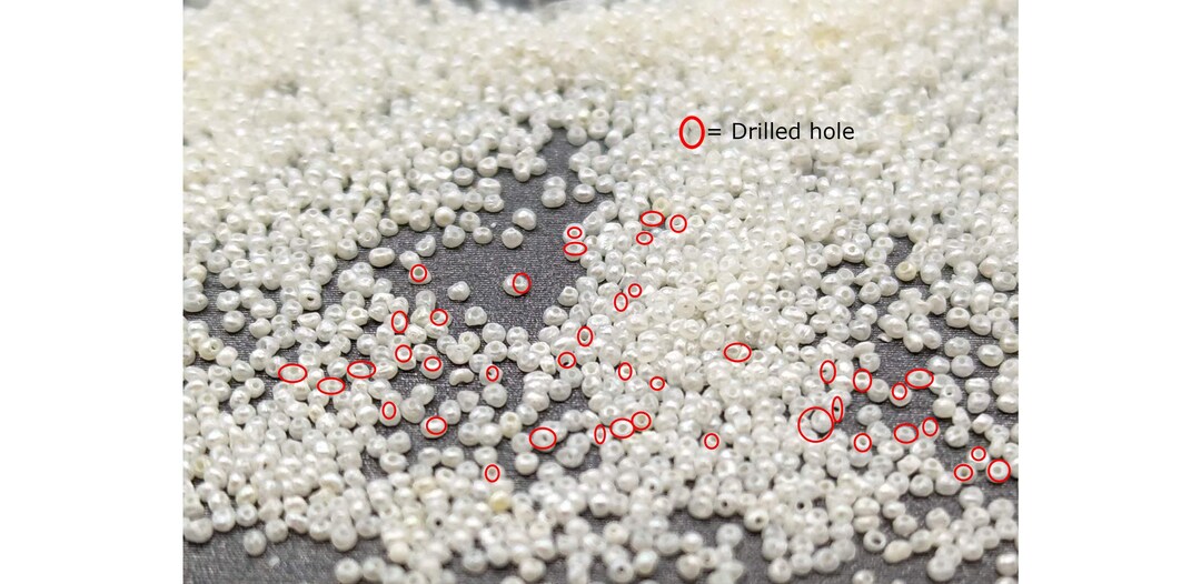 Smallest Pearls in the World - Loose White Fully Drilled Pearls 0.7mm ...