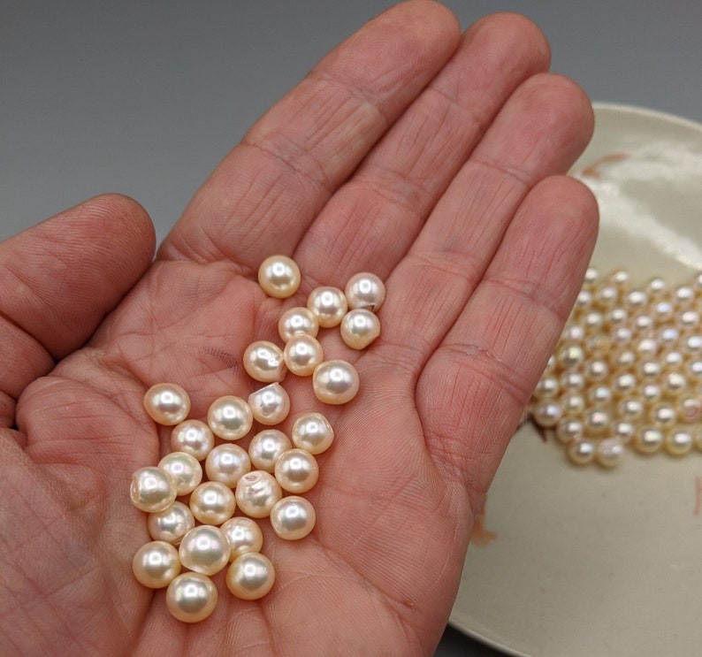 Cultured Loose Pearls - Light Champagne Color - Japanese Akoya Three ...