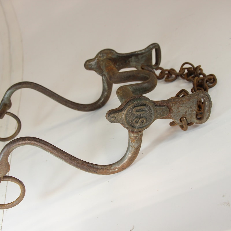 Bridle Bits - Etsy