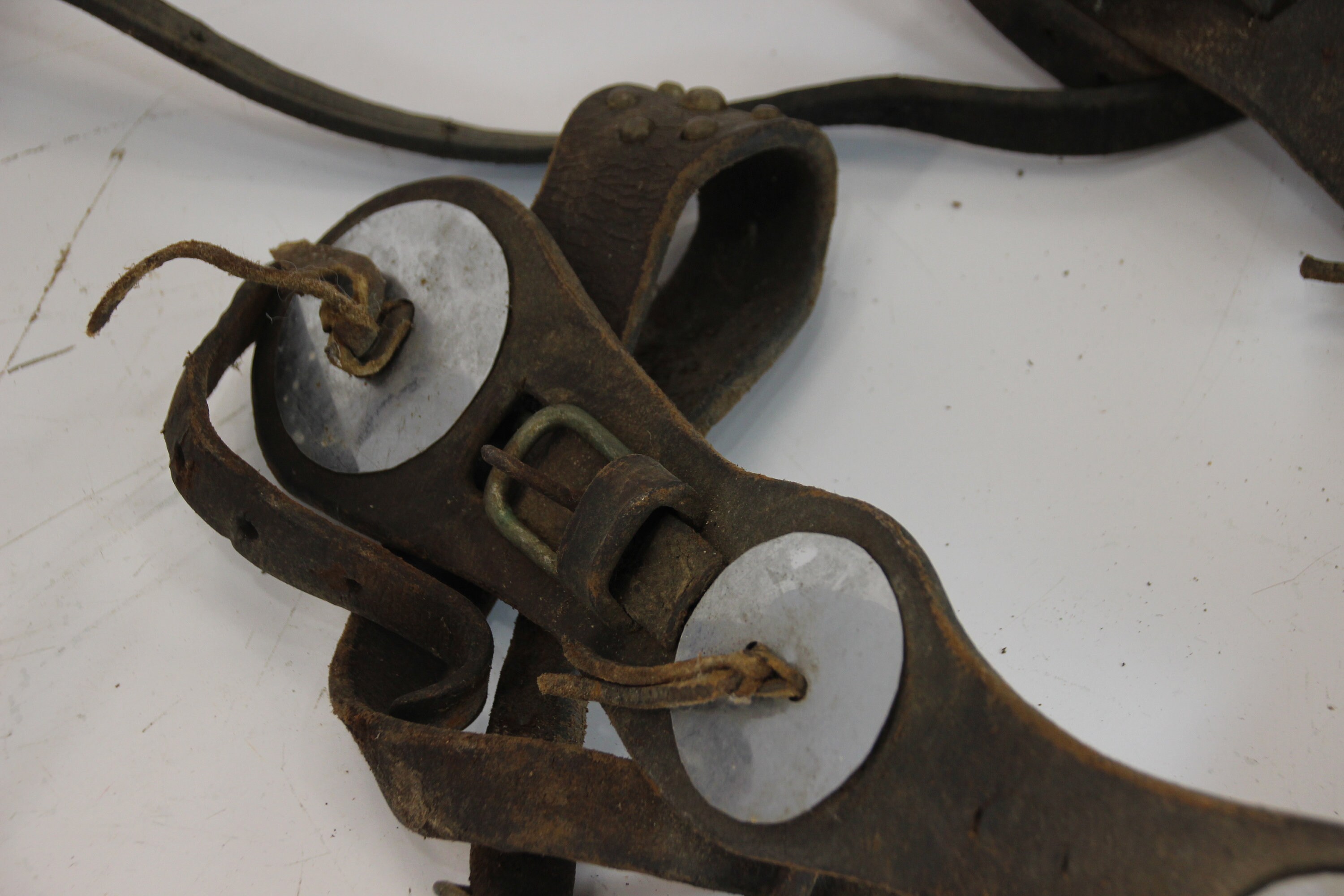 Vintage Set of Bridle, Old Horse Bits, Tackle, Old Horse Bit, Western ...