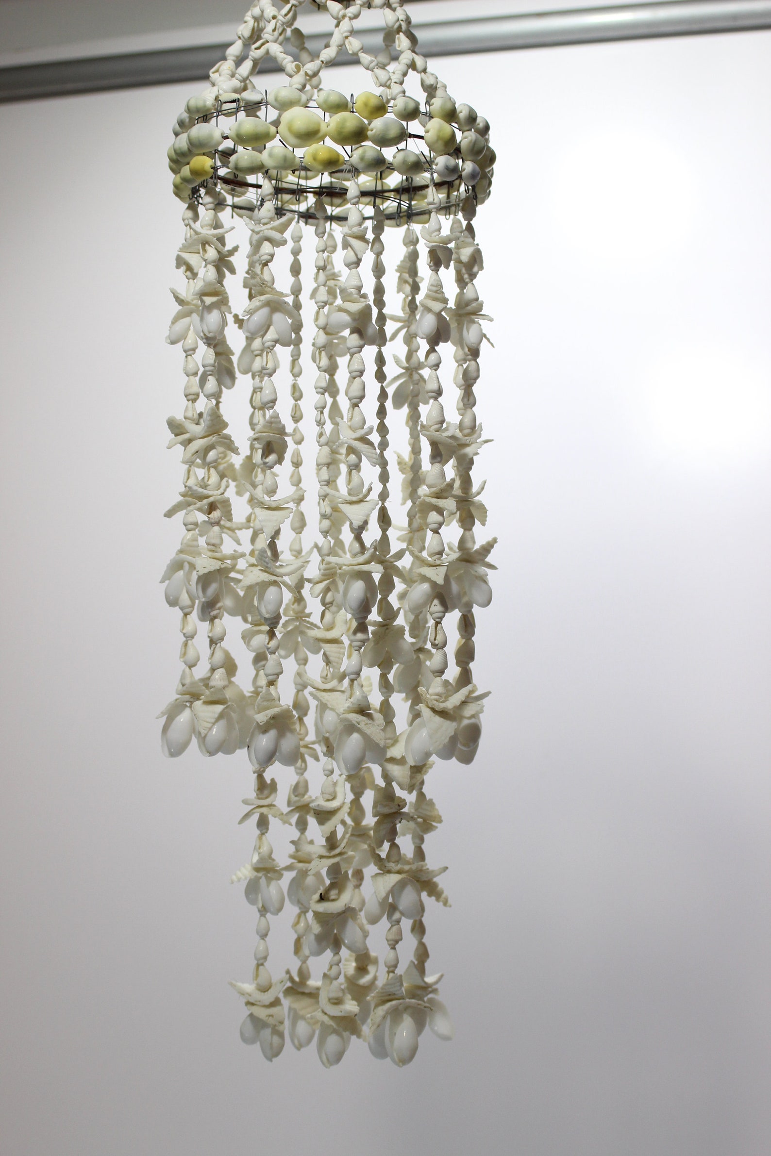 Seashell Hanging, Chandelier, Plant Holder, Vintage Plant Hanger ...