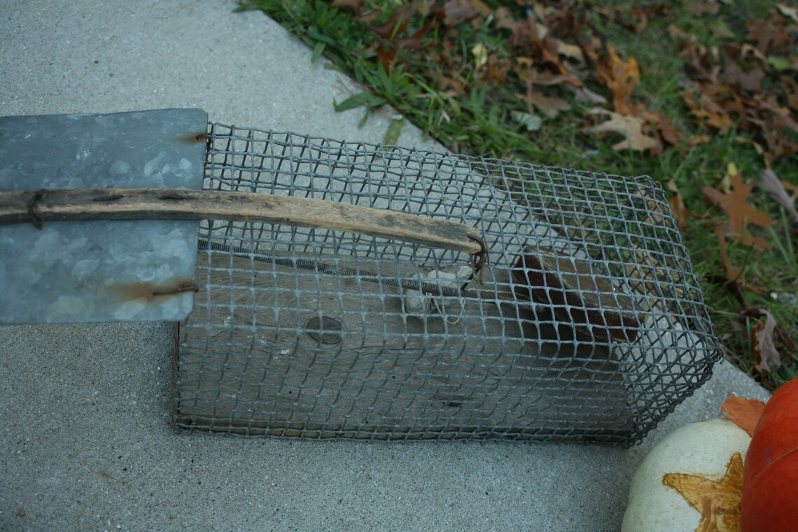 Primitive Handmade Live Trap Small Animals Mouse Trap Set | Etsy