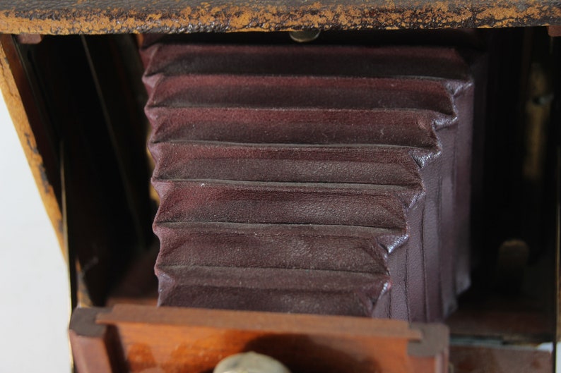 Antique, Unicum Camera, Leather, Wood, Folding Camera, Decorative ...