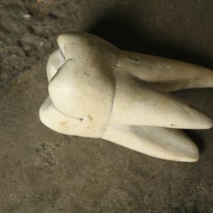 Set of 12 Large Chalk Teeth, Teaching Aid, Display, Dental, Dentist ...