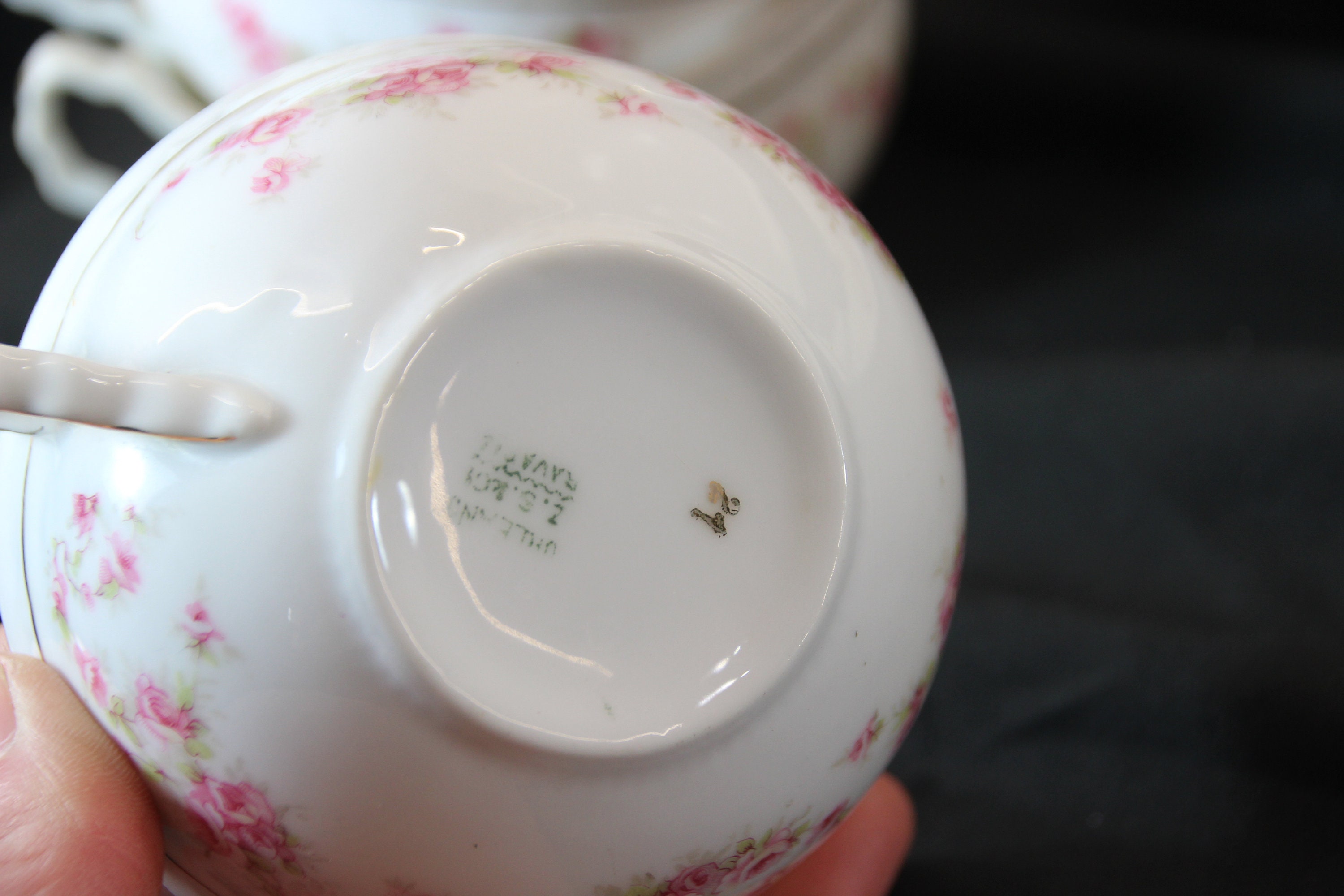 Set of 48 Z.S. & Co Bavaria Germany Rose Pattern China | Etsy