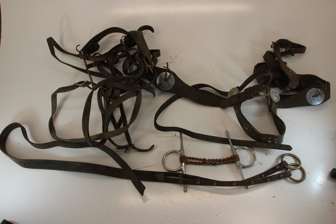 Vintage Set of Bridle Old Horse Bits Tackle Old Horse Bit - Etsy