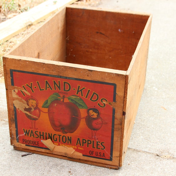 Washington Apple - Etsy