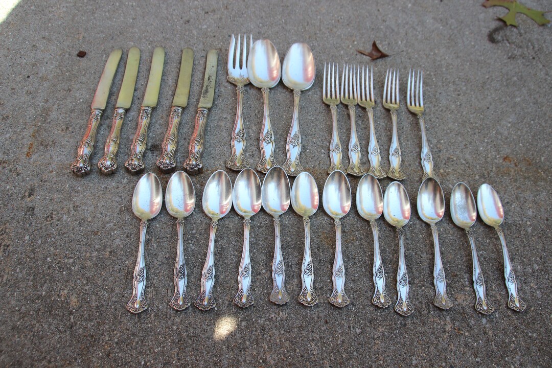 25 Pieces, 1847 Rogers Brother, Silverware, Art Nouveau Style ...