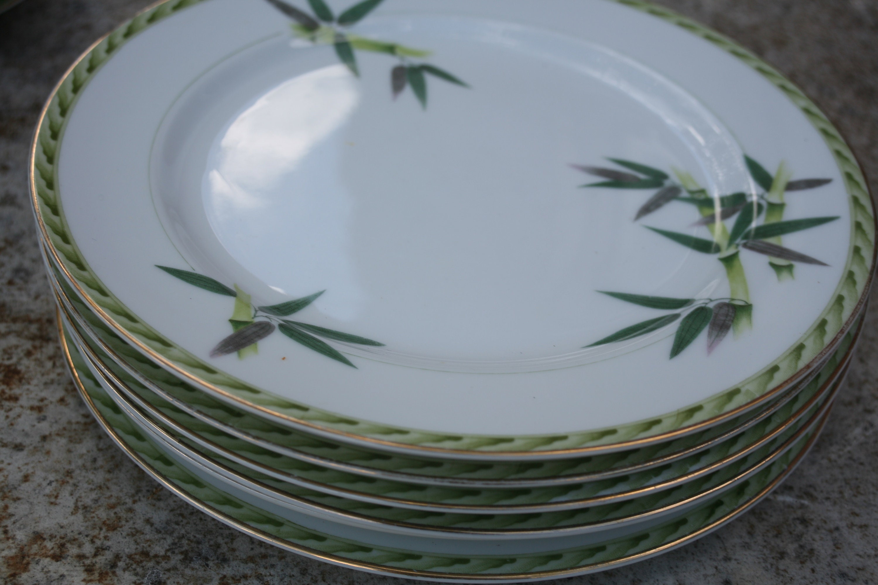 Set of 23 Aladdin Fine China Bamboo Gold Edge Plates | Etsy