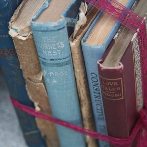 Set of 6, Mini Vintage Books, Old Books, Spring Books, Library, Home ...