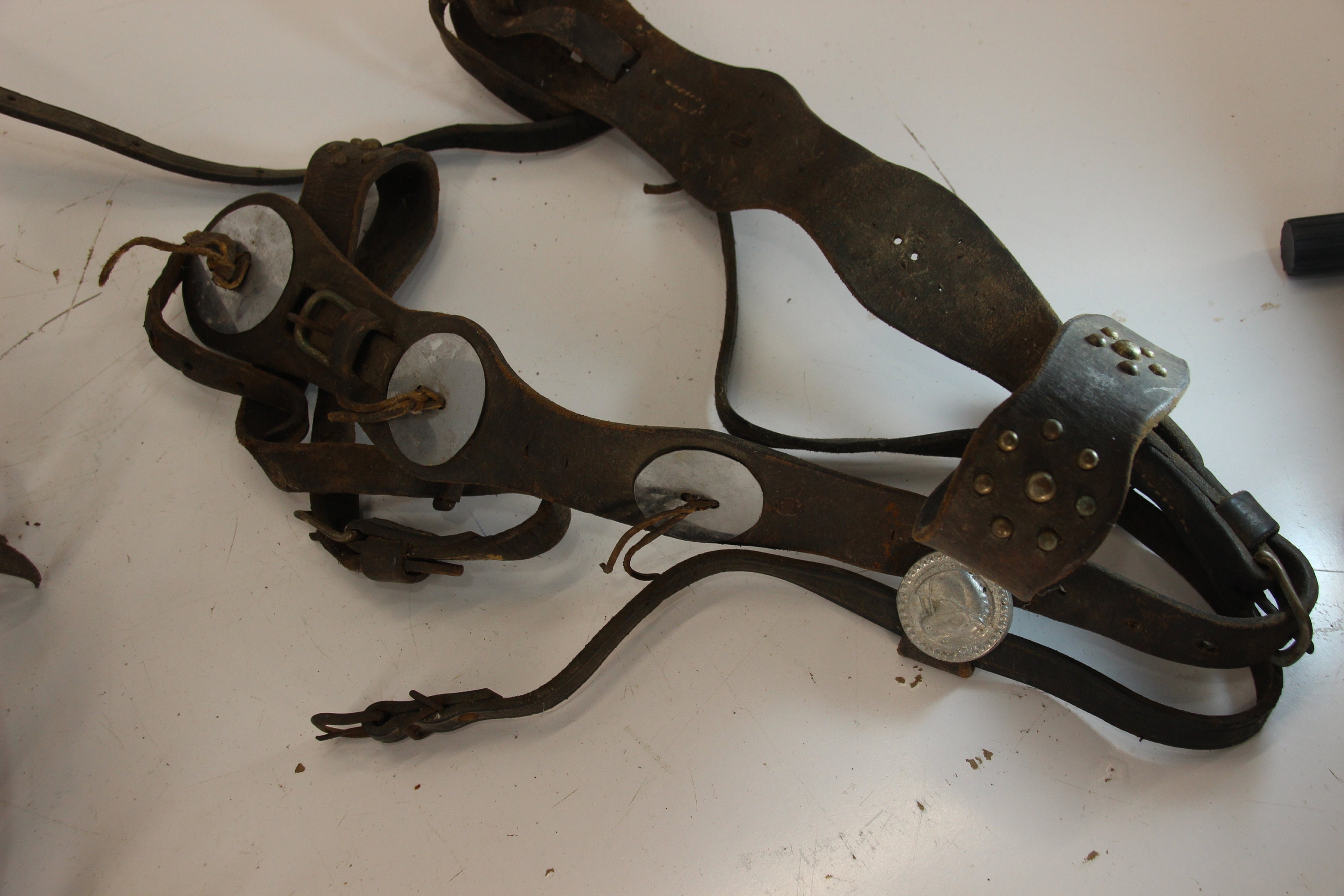 Vintage Set of Bridle Old Horse Bits Tackle Old Horse Bit | Etsy