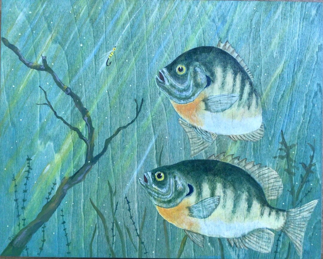 Fish Painting;bluegill Painting;fishing Painting;wildlife Painting ...