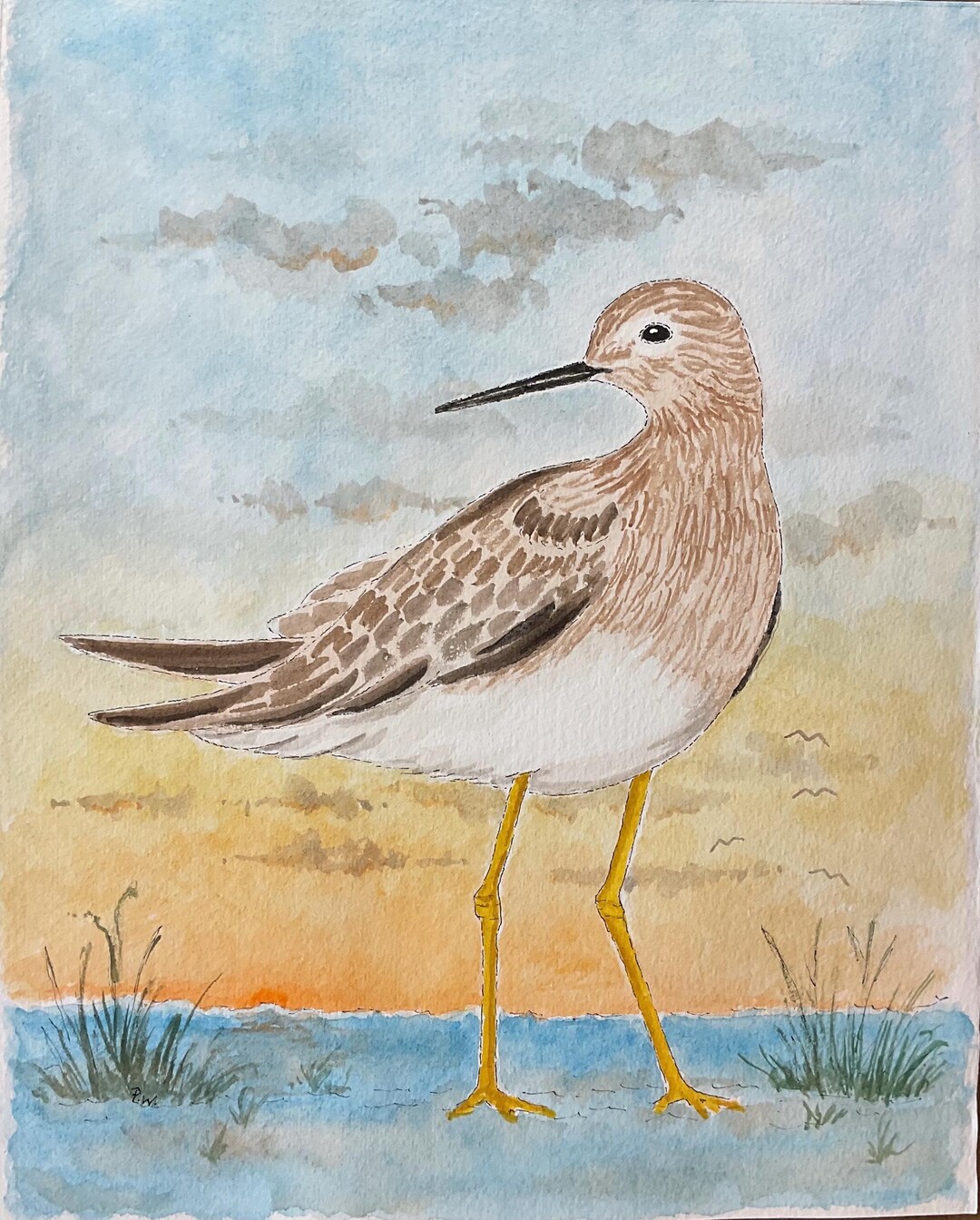 Watercolor Shorebird Painting: Coastal Seascape Art - Etsy