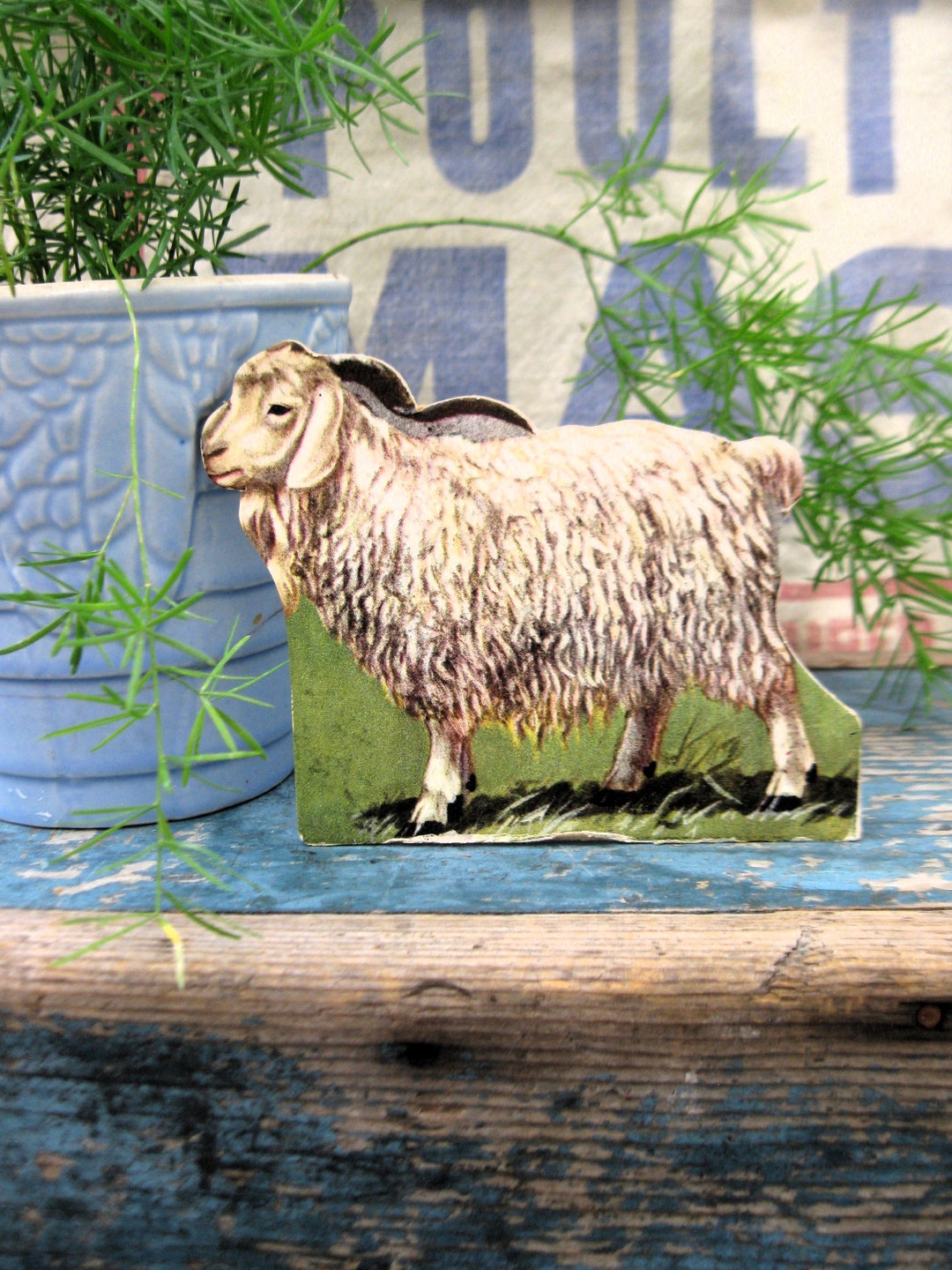 Antique Cardboard Schoolhouse Farm Animal Angora Goat - Etsy