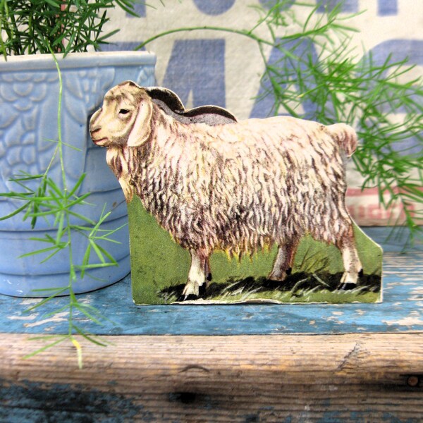 Angora Goat - Etsy
