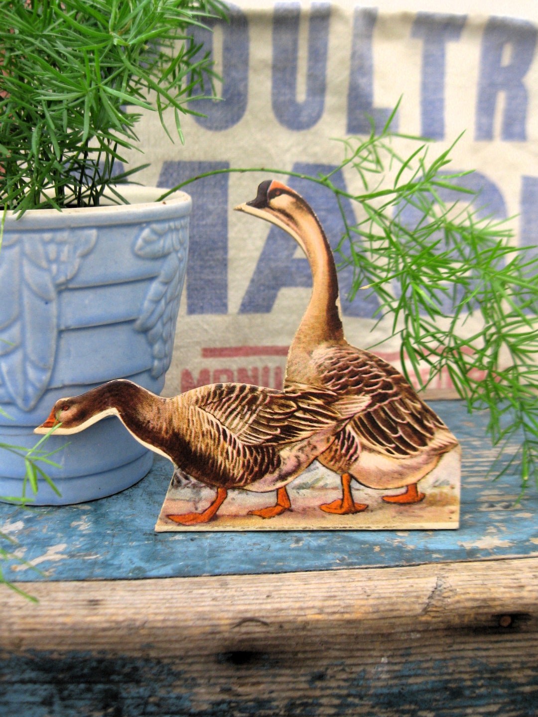 Antique Cardboard Schoolhouse Farm Animal Toulouse Goose- Chinese Goose ...