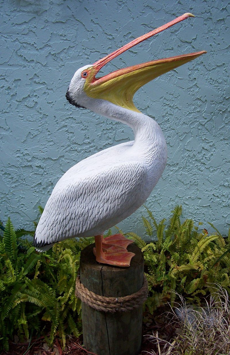 Life-sized Brown or White Pelican Statue Open Mouth Artist Sculpture - Etsy