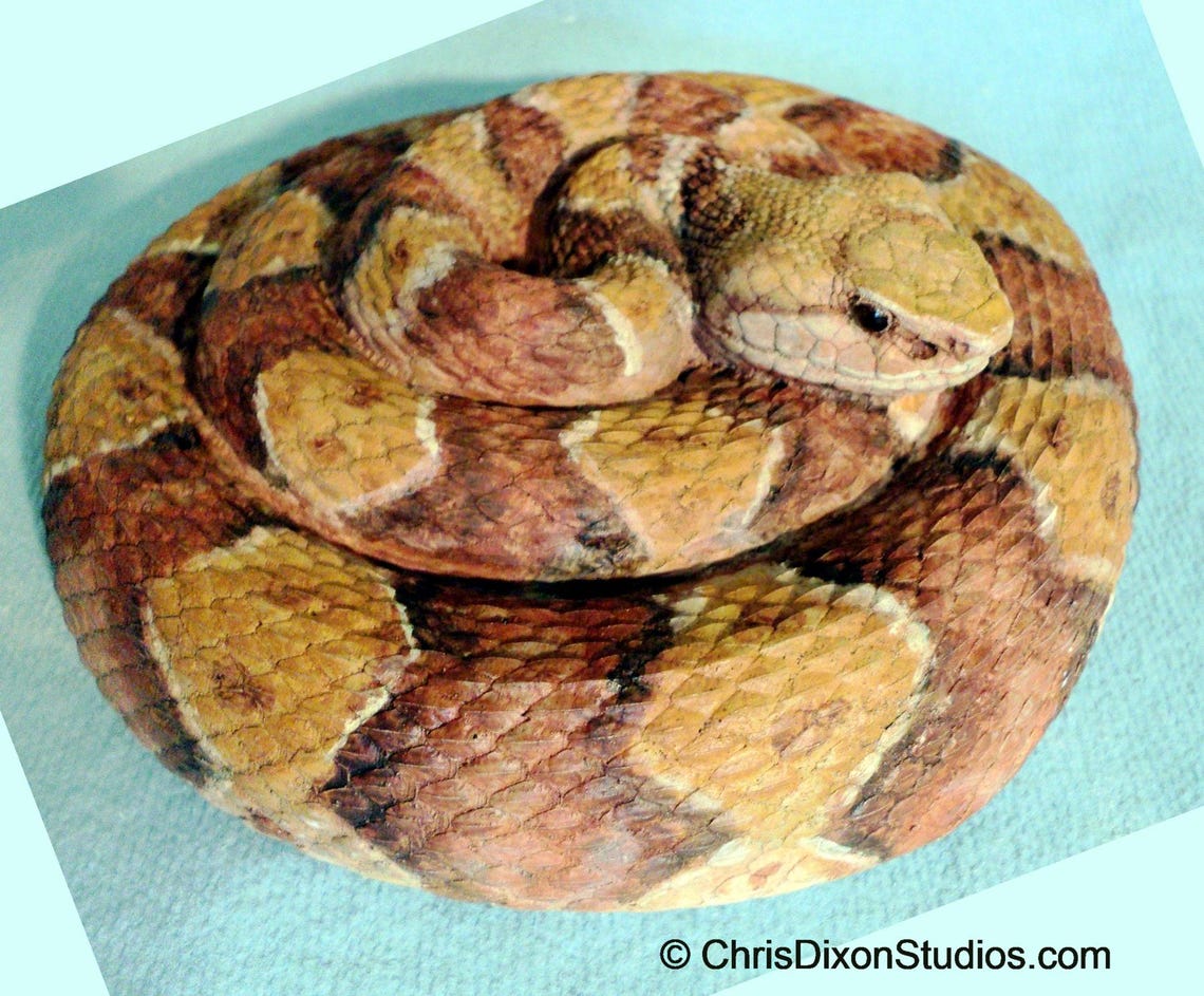 Copperhead Snake Sculpture, 36 Inch Coiled - Etsy