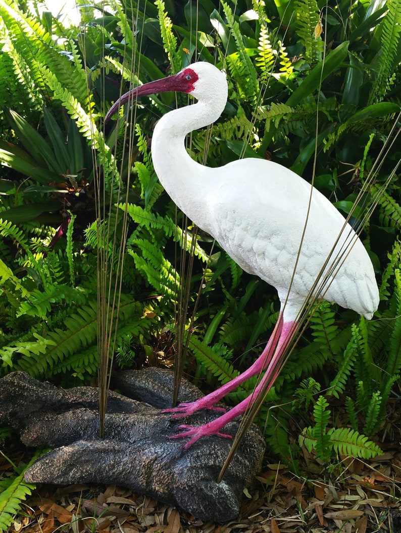 Ibis Bird 26 Inches Lifesize Realistic Waterbird Sculpture - Etsy