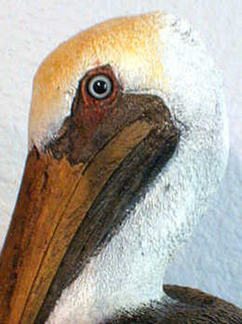 Small Brown Pelican Sculpture 5x9 Inches Tall - Etsy
