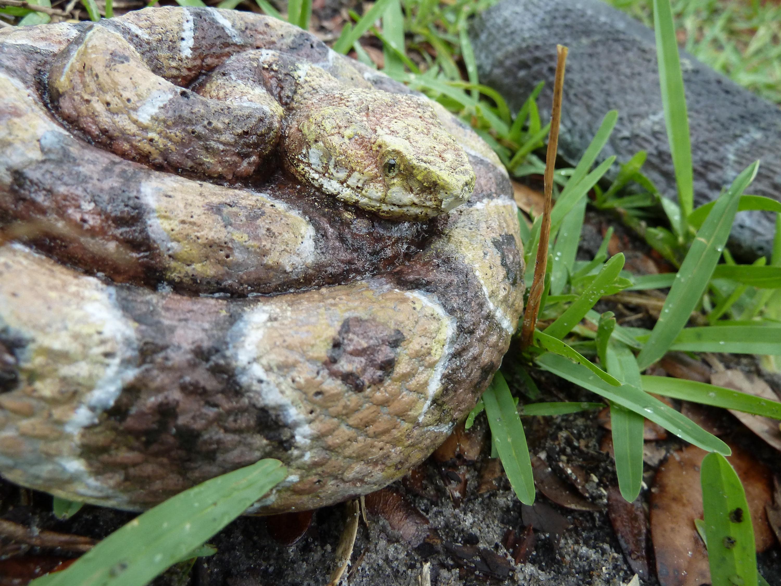 Copperhead Snake Sculpture, 36 Inch Coiled - Etsy