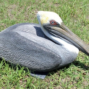 Lifesize Brown Pelican Sitting Large Statue, Limited Ed. Artist ...