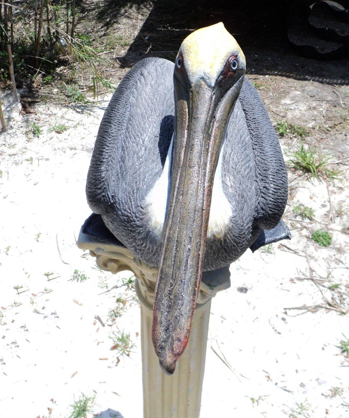 Lifesize Brown Pelican Sitting Large Statue, Limited Ed. Artist ...