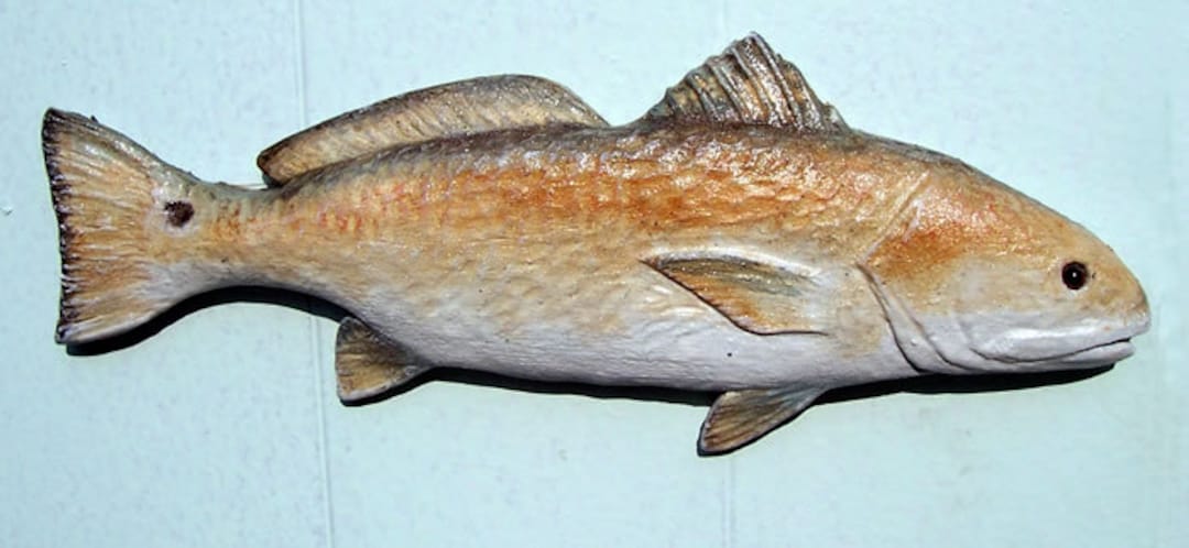 Redfish Fish Sculpture 4 X 10 In. - Etsy