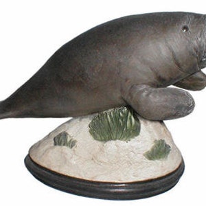 MANATEE Baby 8 X 6 Sculpture - Etsy
