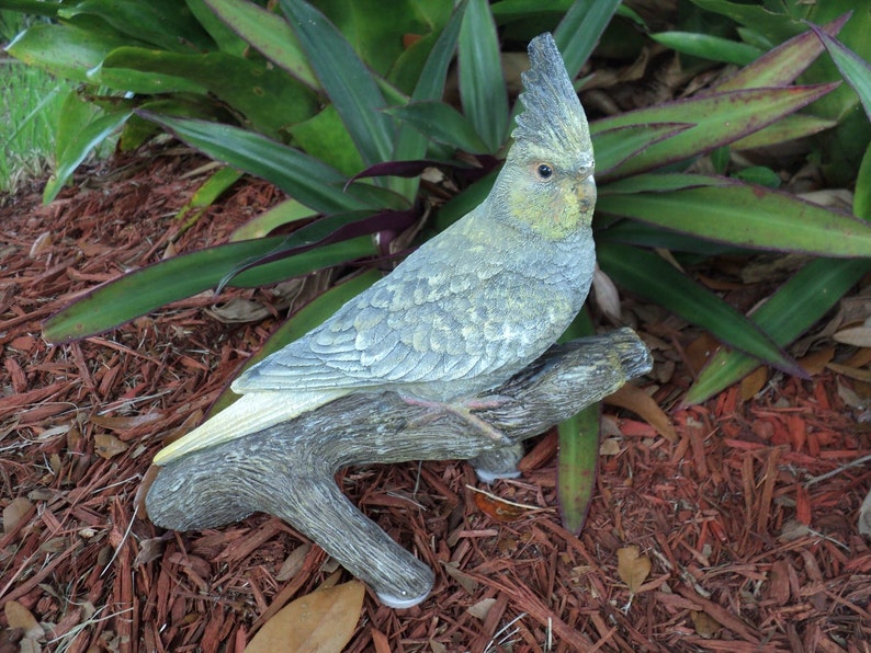 Life-size Cockatiel Parrot Bird Art Sculpture 11 X 9 Inches - Etsy