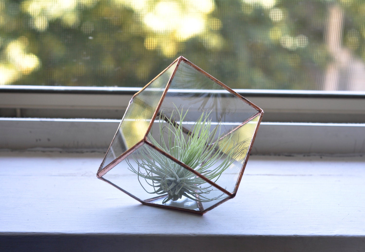 Earth Terrarium Kit small cube glass planter in copper or | Etsy
