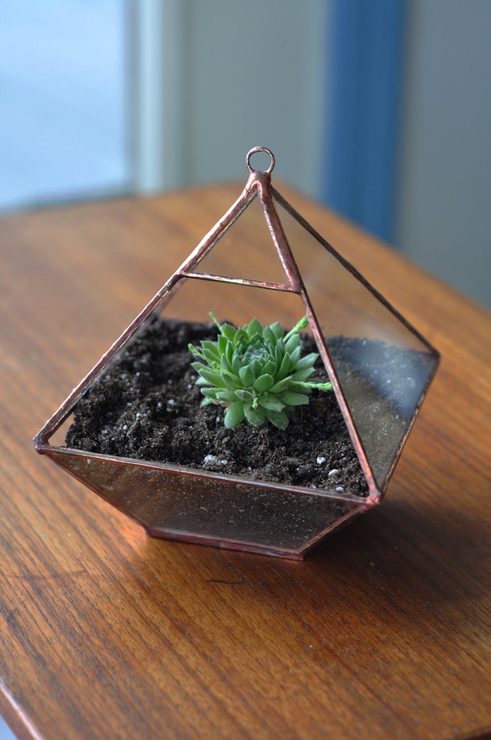 Air Terrarium Kit Pyramid Top Glass Terrarium for Hanging or - Etsy