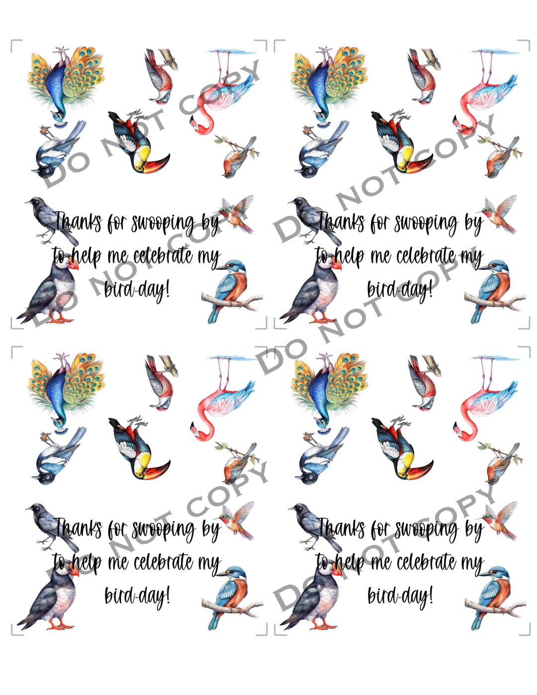 Bird "bird-day" Birthday Printable Party Favor Tags (.pdf Printable) - Etsy