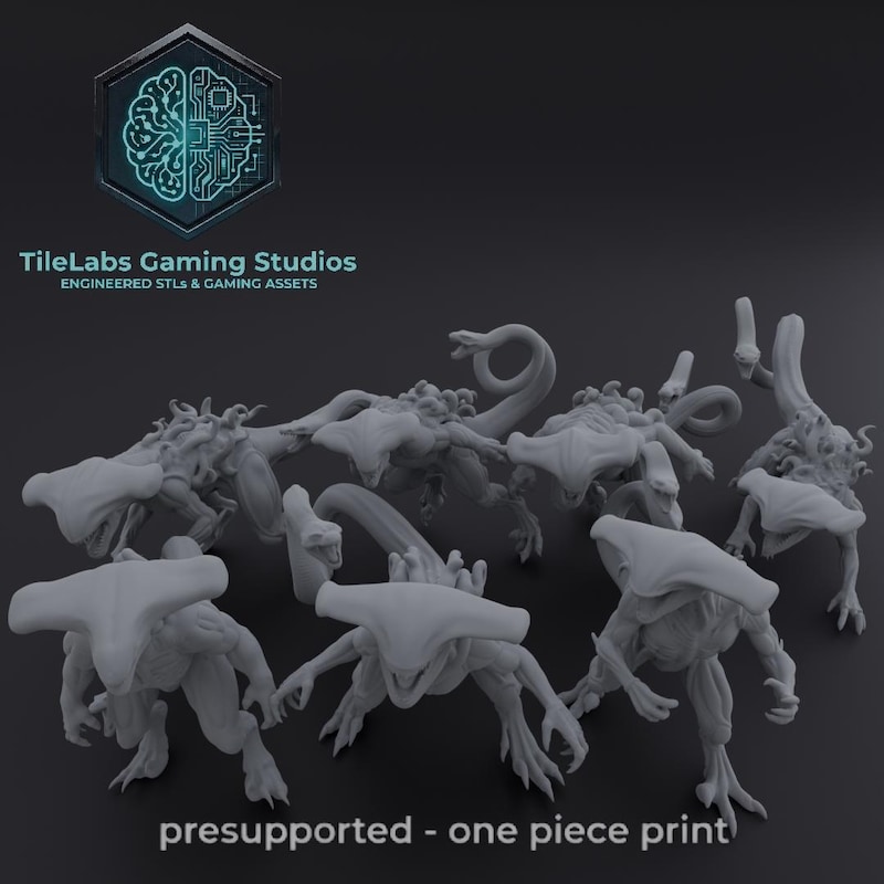 40k Proxy Stl Files - Etsy