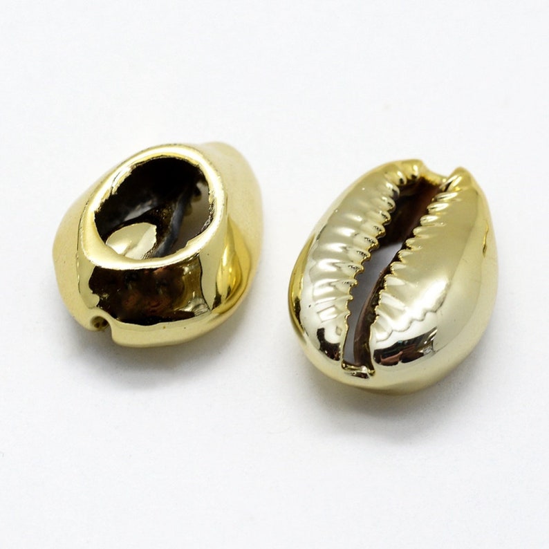 5-REAL Large Snakehead Cowrie Shell With 24k Gold Dipped Bead - Etsy