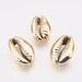 5-REAL Large Snakehead Cowrie Shell With 24k Gold Dipped Bead Sea ...