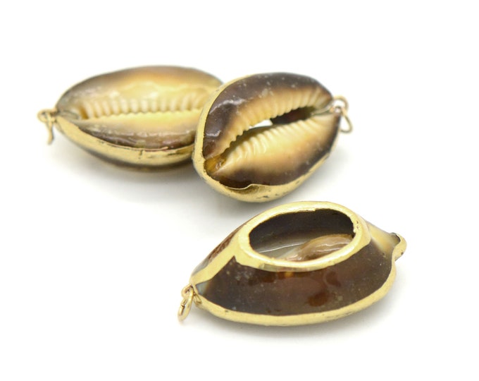 10 REAL Large Snakehead Cowrie Shell With 24k Gold Plated Trim Pendant ...
