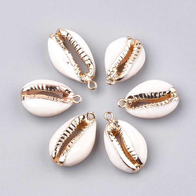 2 REAL Large Snakehead Cowrie Shell With 24k Gold Plated | Etsy