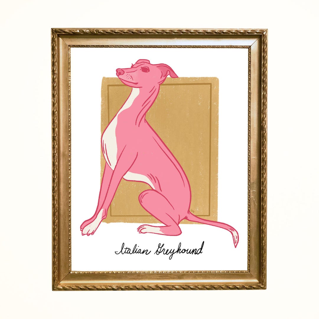 Custom Italian Greyhound Pink Dog Illustration Art Print Gift Idea for ...