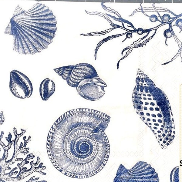 Seashell Decoupage - Etsy